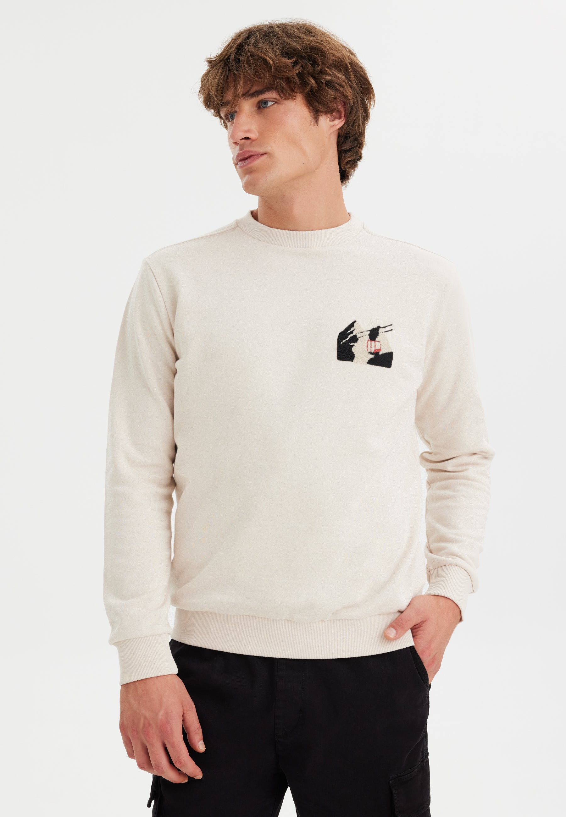 WMDESTINATION ALPS SWEAT in Snow White